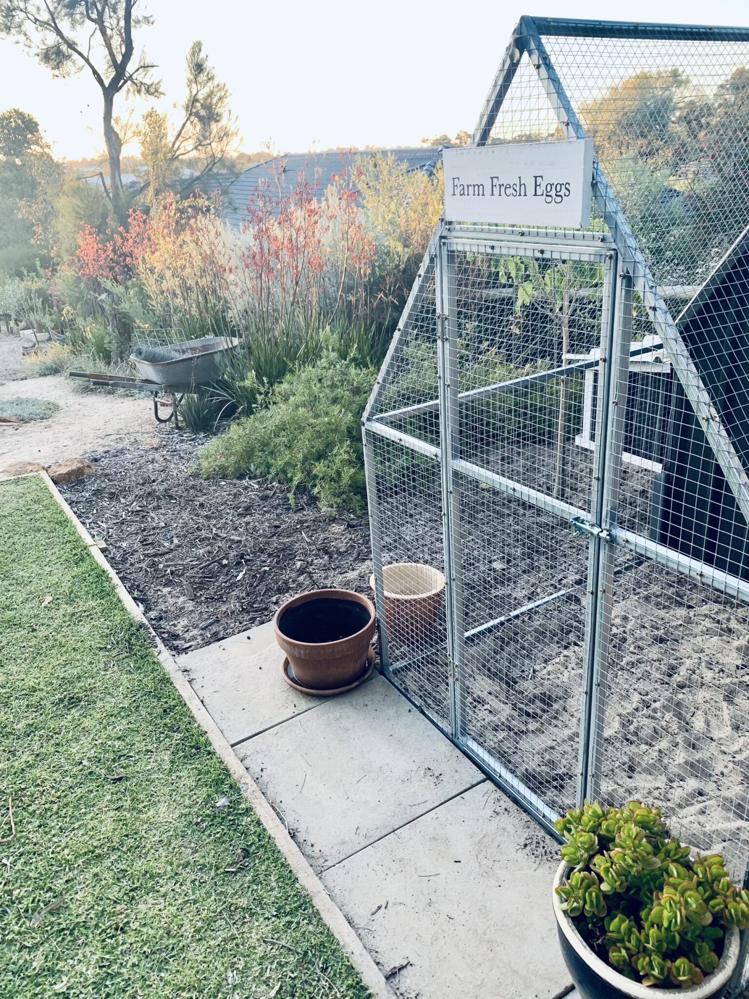 Chook House Pallet Sign | The Cheneys