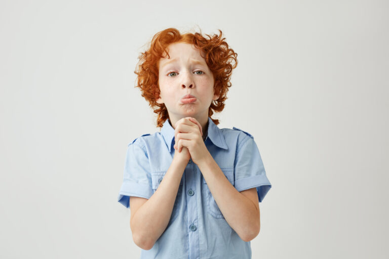 Term 3 Years 5 - 7 Persuasion & Perspectives Writing Workshop | The Cheneys